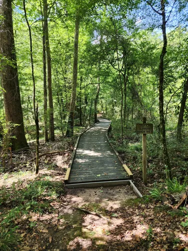 Best Hikes and Trails in Chicot State Park | AllTrails