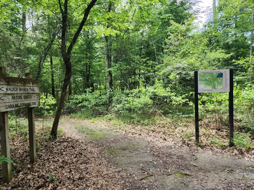 Best Hikes and Trails in Chicot State Park | AllTrails