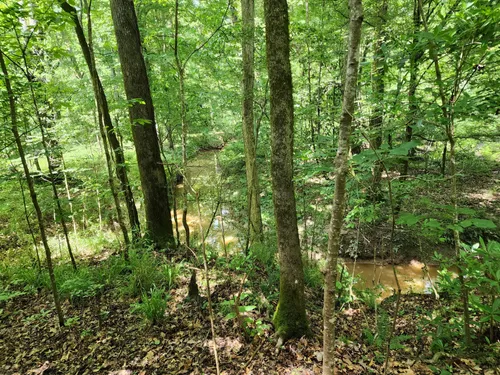 Best Hikes and Trails in Chicot State Park | AllTrails