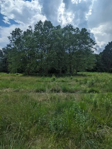 Best Hikes and Trails in Tyler Arboretum | AllTrails