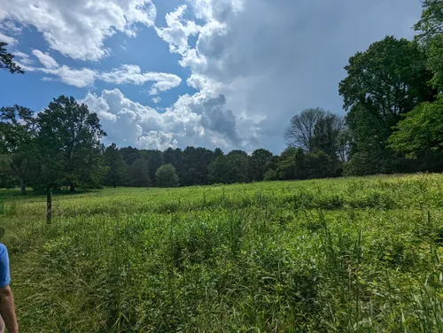 Best Hikes and Trails in Tyler Arboretum | AllTrails