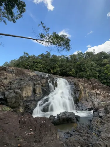 Best Camping Trails in Endau Rompin National Park (Peta) | AllTrails