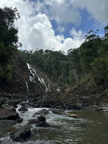 2023 Best Hard Trails in Endau Rompin National Park (Peta) | AllTrails