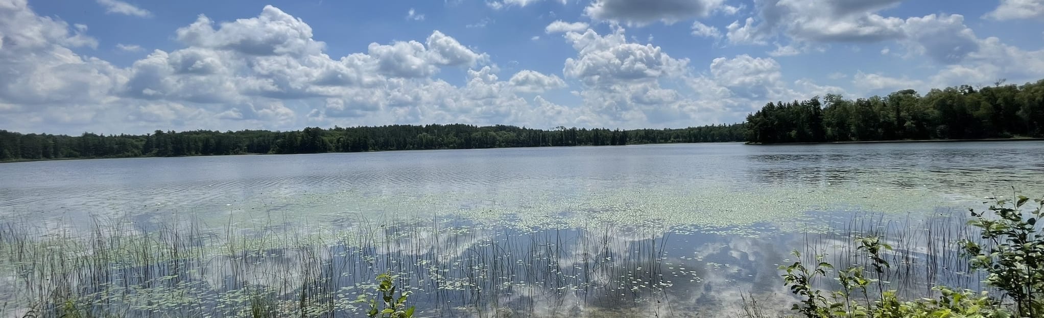 Waboose Lake Loop, Minnesota - 80 Reviews, Map | AllTrails