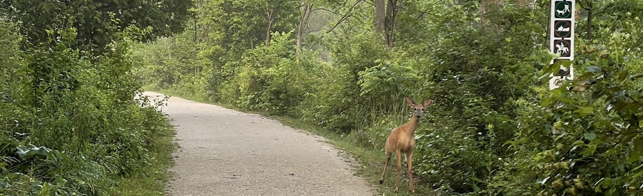 Hanover West River Trail, Ontario, Canada - 29 Reviews, Map | AllTrails