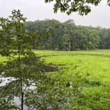Great Marsh Trail, Virginia - 76 Reviews, Map | AllTrails