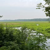Great Marsh Trail, Virginia - 76 Reviews, Map | AllTrails