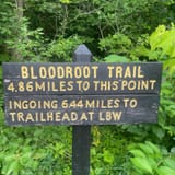 Bloodroot Trail, Indiana - 595 Reviews, Map | AllTrails