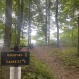 Bloodroot Trail, Indiana - 595 Reviews, Map | AllTrails