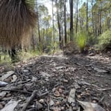 Mount Cooke Loop, Western Australia, Australia - 496 Reviews, Map ...