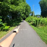 Doodle Trail, South Carolina - 621 Reviews, Map | AllTrails