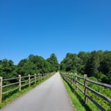 Doodle Trail, South Carolina - 621 Reviews, Map | AllTrails