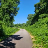 Doodle Trail, South Carolina - 621 Reviews, Map | AllTrails