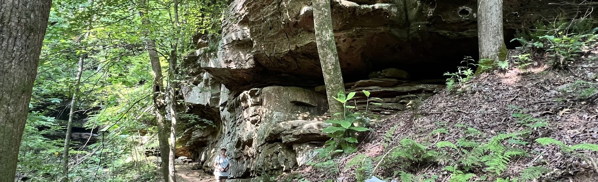 Clear Creek Campground Raven Trail: 8 Reviews, Map - Alabama | AllTrails