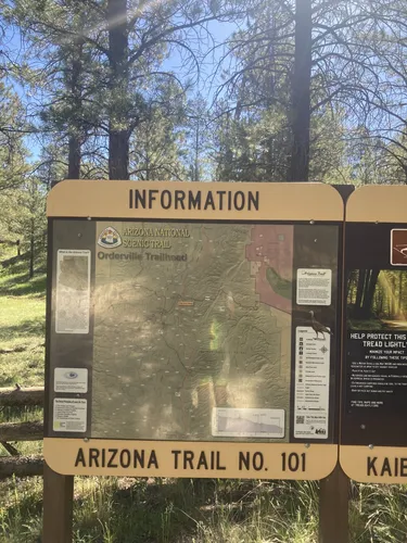 2023 Best Backpacking Trails in Jacob Lake | AllTrails