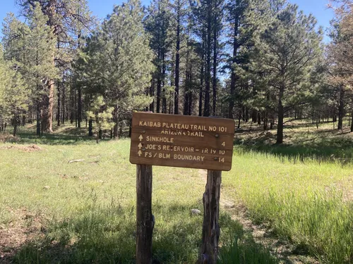 2023 Best Backpacking Trails in Jacob Lake | AllTrails