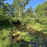 Kelly Creek Preserve Trail, Wisconsin - 14 Reviews, Map | AllTrails