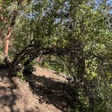 Upper Table Rock Trail, Oregon - 1,596 Reviews, Map | AllTrails