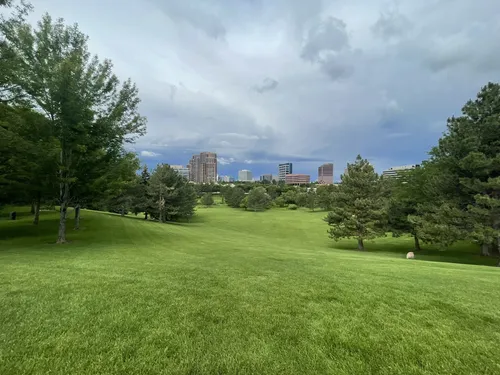 10 Best Forest Trails in Denver | AllTrails