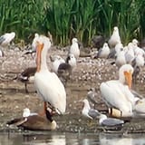 Hasse Lake, Alberta, Canada - 80 Reviews, Map | AllTrails