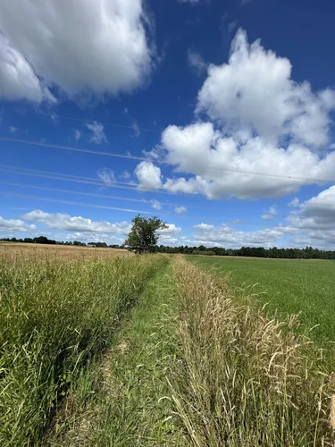 Best Camping Trails in Vejen | AllTrails