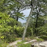 Bear Mountain Loop Trail, New York - 8,762 Reviews, Map | AllTrails