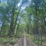VASA Single Track Loop, Michigan - 331 Reviews, Map | AllTrails