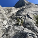 Valley Loop Trail, California - 583 Reviews, Map | AllTrails