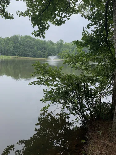 2023 Best Easy Trails in Powder Springs | AllTrails