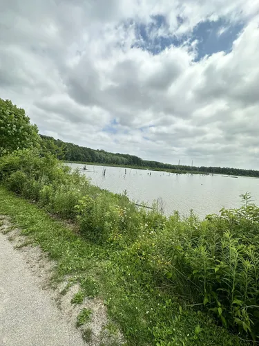 Best Hikes and Trails in Sandy Ridge Reservation | AllTrails