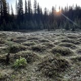 Pedley Pass and Pedley Ridge, British Columbia, Canada - 259 Reviews ...