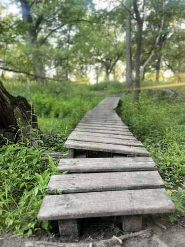 Best Hikes and Trails in George Wyth State Park | AllTrails