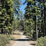 Viola Falls, California - 278 Reviews, Map | AllTrails