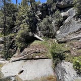 Viola Falls, California - 278 Reviews, Map | AllTrails