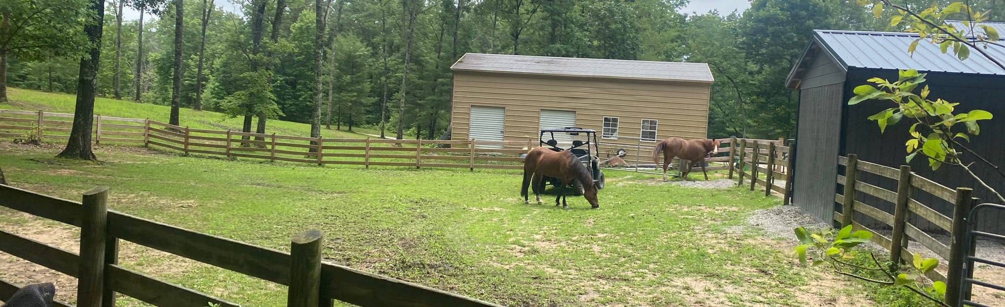 Hicks Ridge, Wild Cat, Willie Lee, Pavilion, Teepee and Proctor Ridge ...