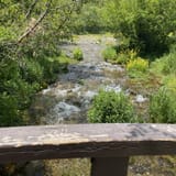 Cascade Springs Interpretive Trail, Utah - 417 Reviews, Map | AllTrails