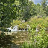 Cascade Springs Interpretive Trail, Utah - 417 Reviews, Map | AllTrails
