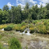 Cascade Springs Interpretive Trail, Utah - 425 Reviews, Map | AllTrails