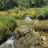 Cascade Springs Interpretive Trail, Utah - 425 Reviews, Map | AllTrails