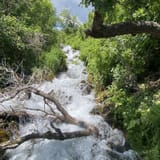 Cascade Springs Interpretive Trail, Utah - 425 Reviews, Map | AllTrails
