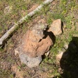 Umatilla Rim Trail, Oregon - 45 Reviews, Map | AllTrails