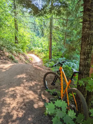 Best Hikes and Trails in Wygant State Natural Area | AllTrails