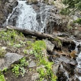 Blue Lake Trail, Idaho - 422 Reviews, Map | AllTrails