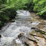 Saunders Springs Reservoir Loop, Kentucky - 132 Reviews, Map | AllTrails