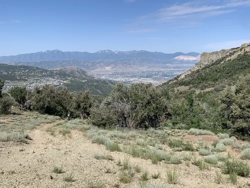 10 Best Hikes and Trails in Corner Canyon Regional Park | AllTrails