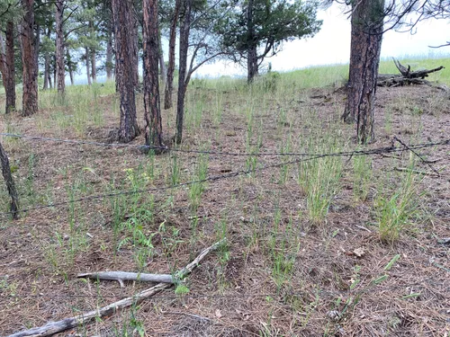 Best Hikes and Trails in Keyhole State Park | AllTrails