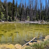 Alpine Pond Trail, Utah - 666 Reviews, Map | AllTrails