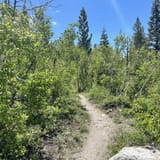 June Lake Loop Trail, California - 370 Reviews, Map | AllTrails