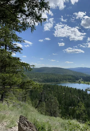 Best Hikes and Trails in Stillwater State Forest | AllTrails