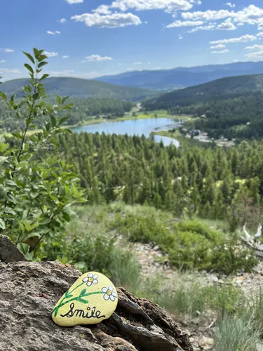 Best Hikes and Trails in Stillwater State Forest | AllTrails